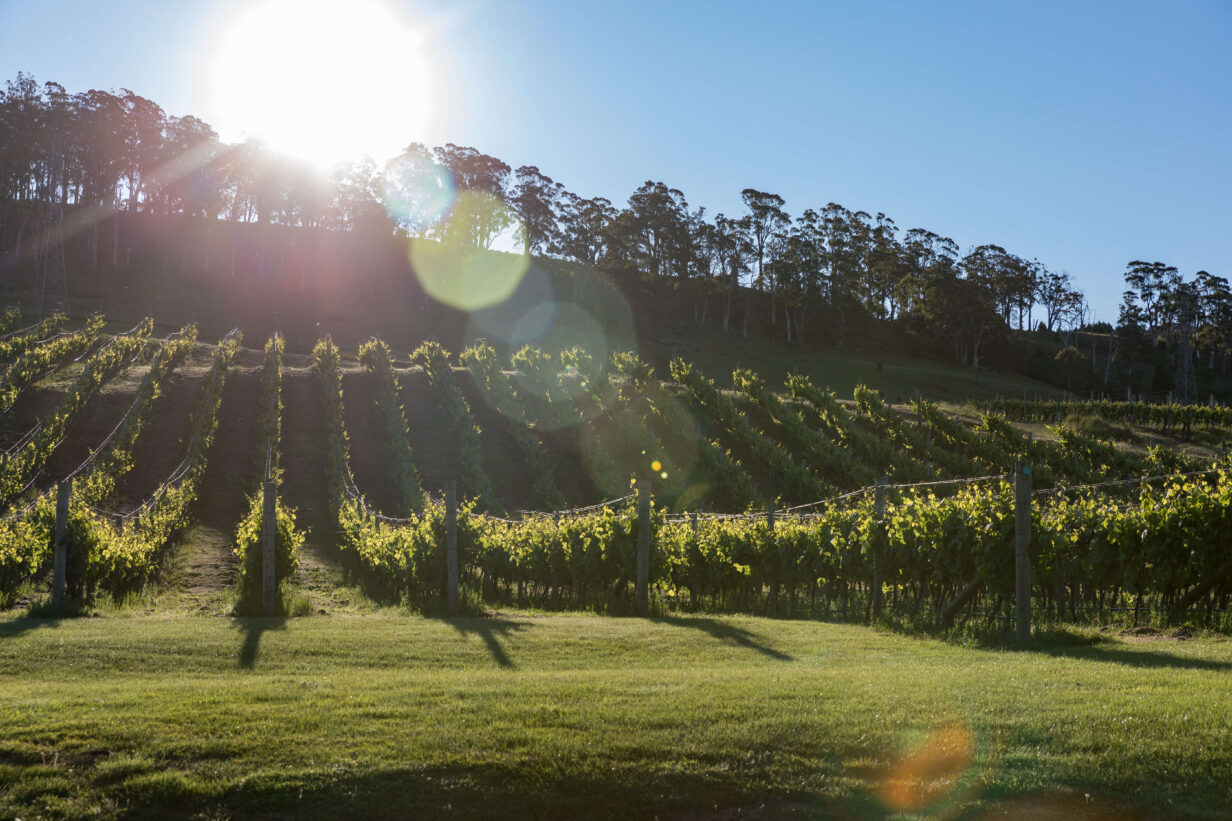 Natalie Fryar - Business Events Tasmania